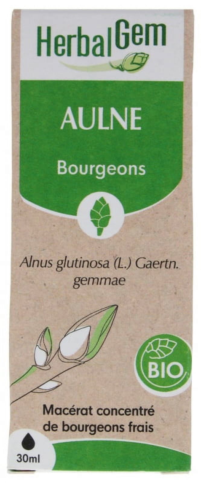 HerbalGem Organic Alder 30ml for Office Breakroom Refreshment - Walmart ...