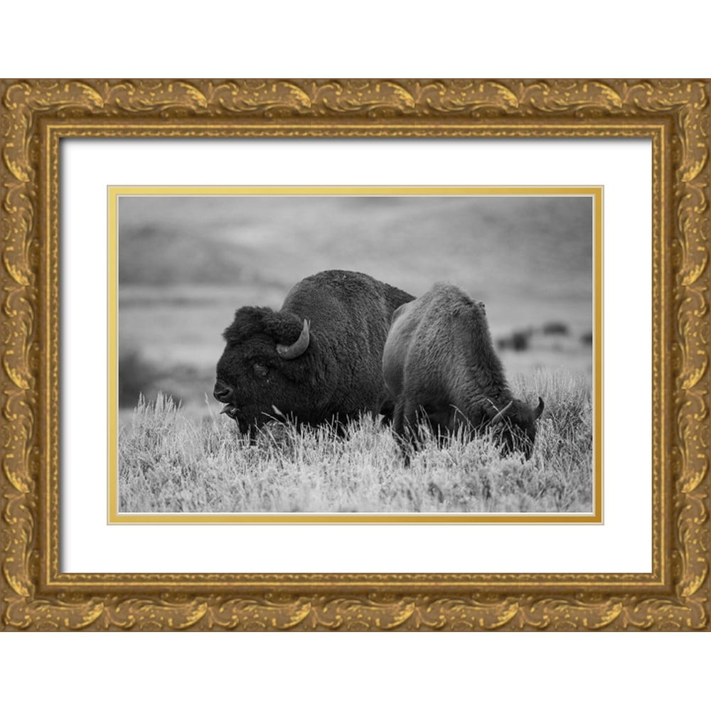 Herbert, Neal 14x11 Gold Ornate Wood Framed with Double Matting Museum ...