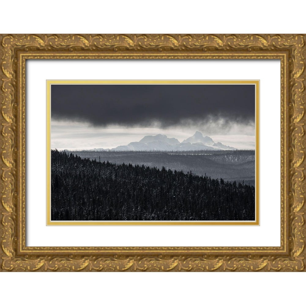 Herbert, Neal 32x23 Gold Ornate Wood Framed with Double Matting Museum ...