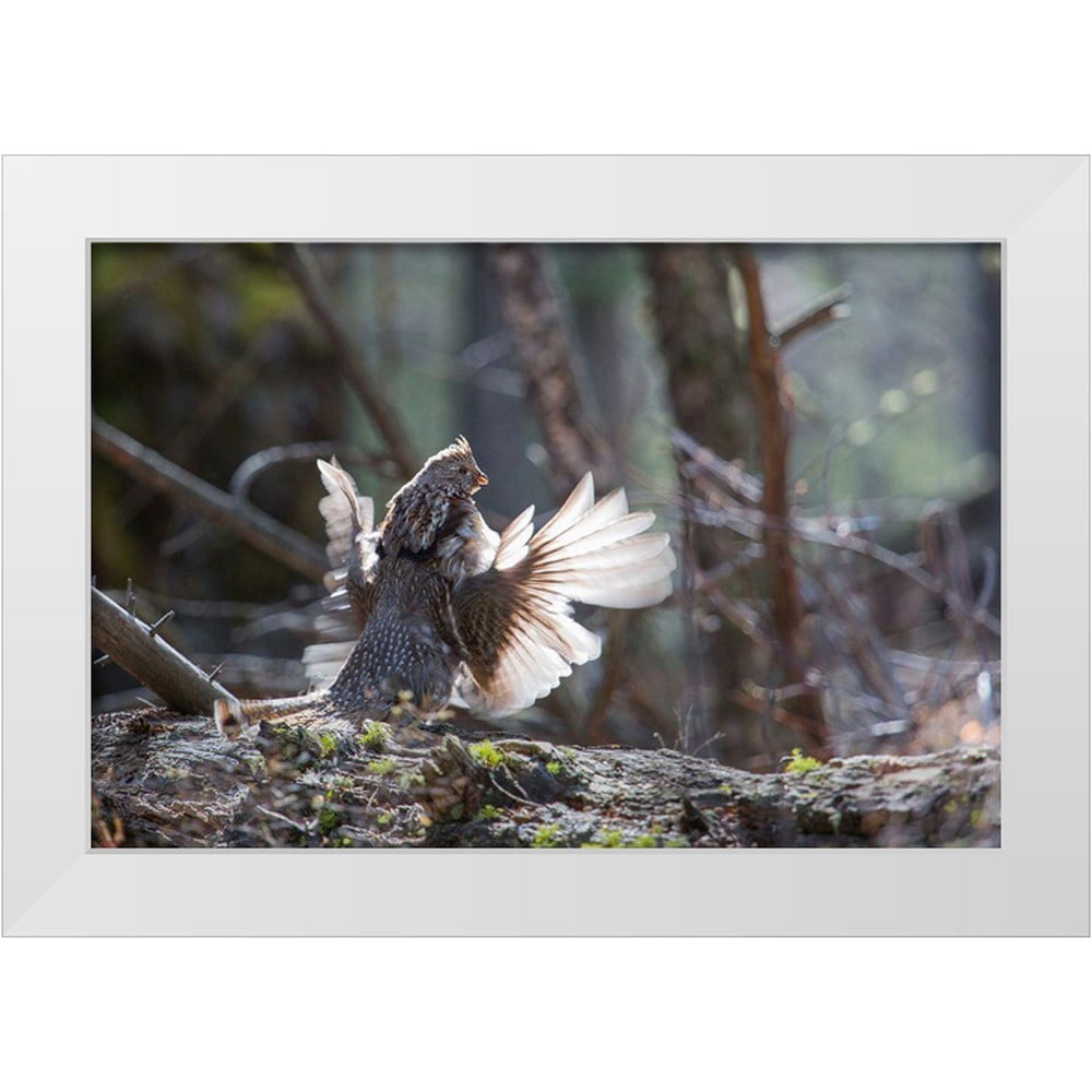 Herbert, Neal 32x23 White Modern Wood Framed Museum Art Print Titled ...