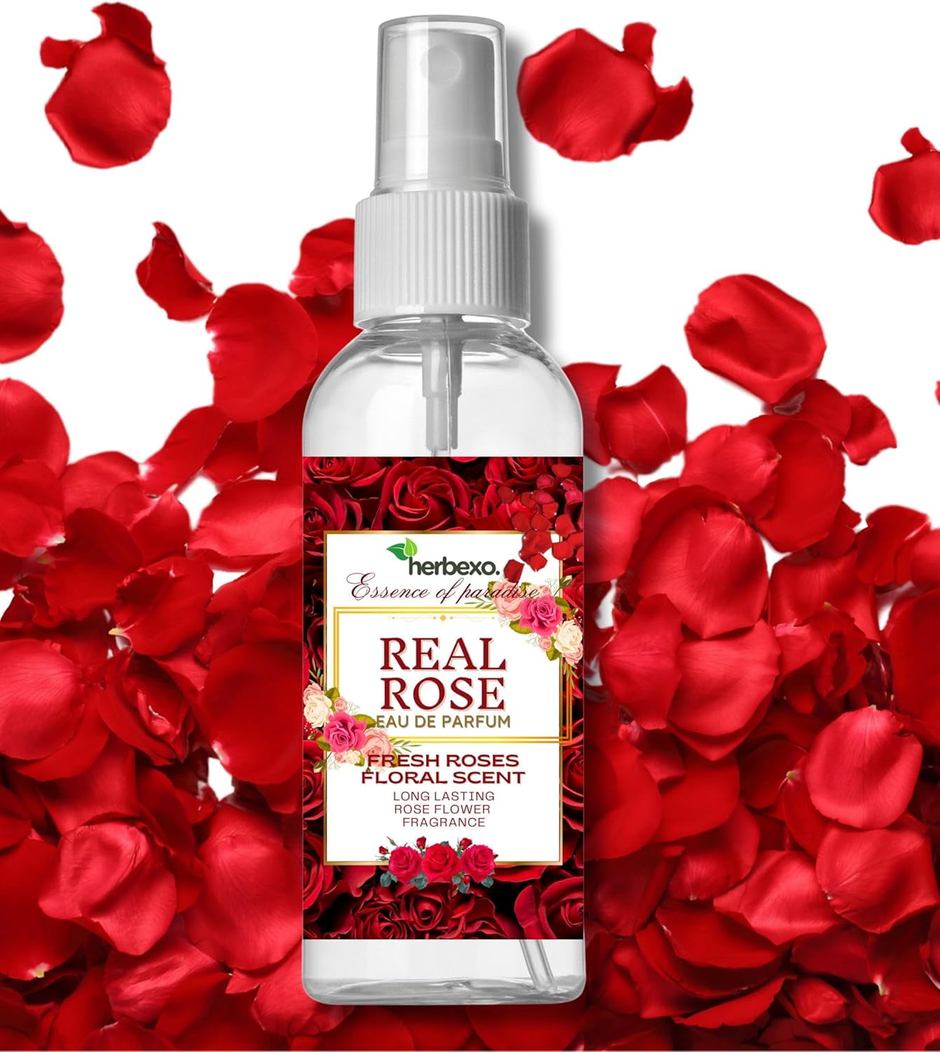 Herbexo Pure Rose Attar Perfume Original Roses Ittarr Perfume for Women ...