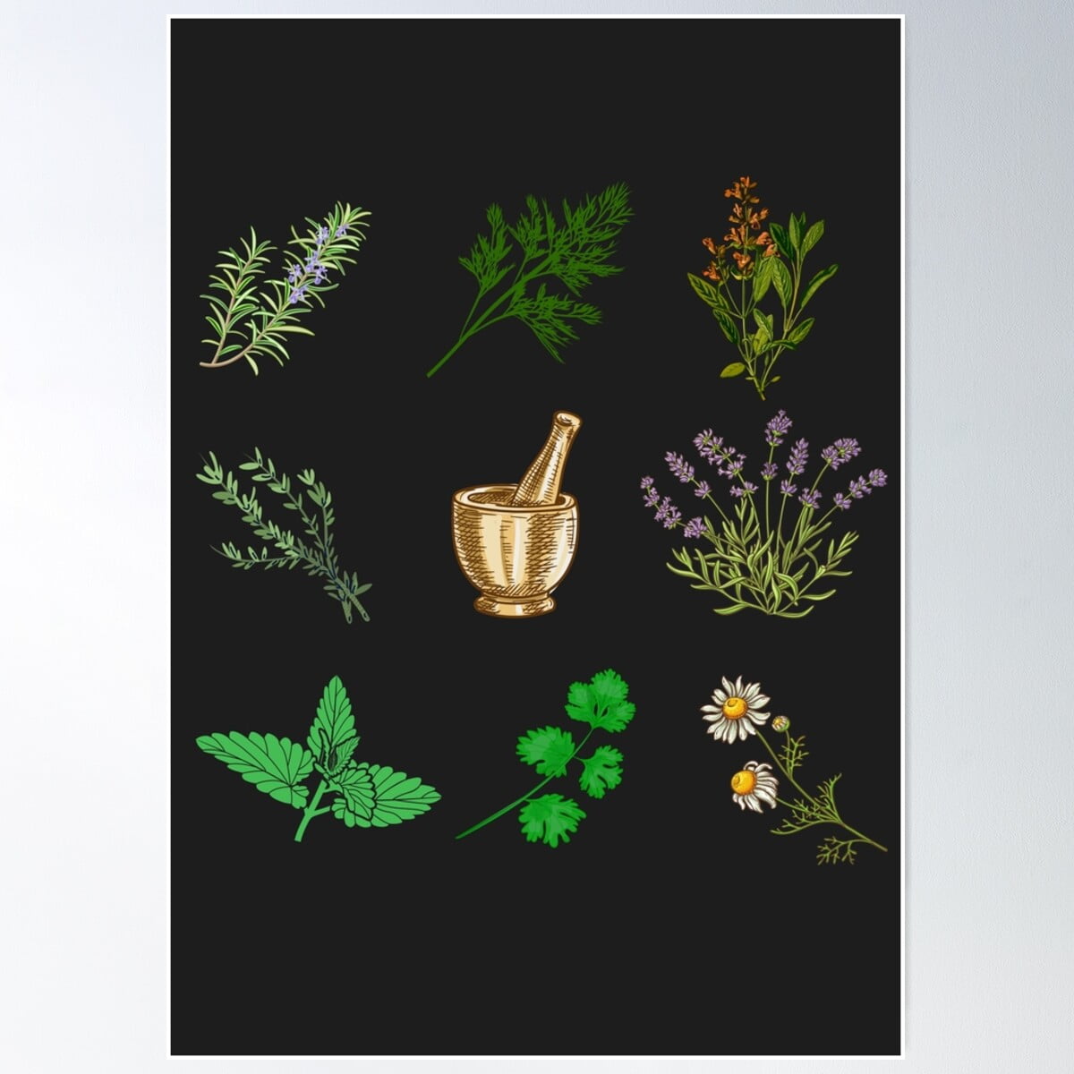 Herbology, Botanical, Medicinal, Witchcraft, Poster Wall Art, Modern Wall Decor For Living Room ...