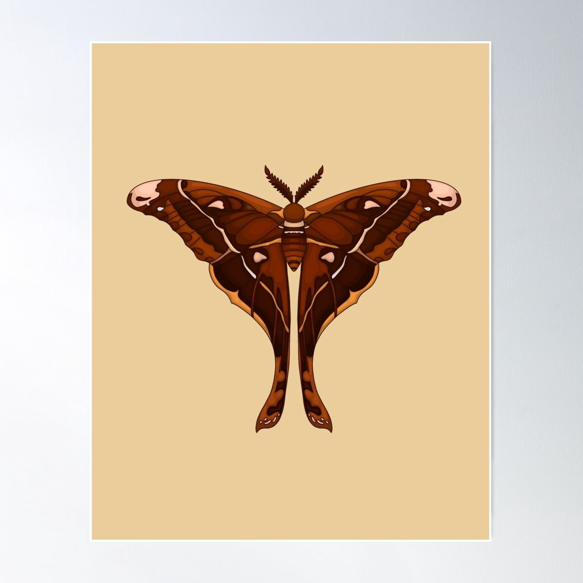 Hercules Moth Poster Wall Art, Modern Wall Decor For Living Room ...