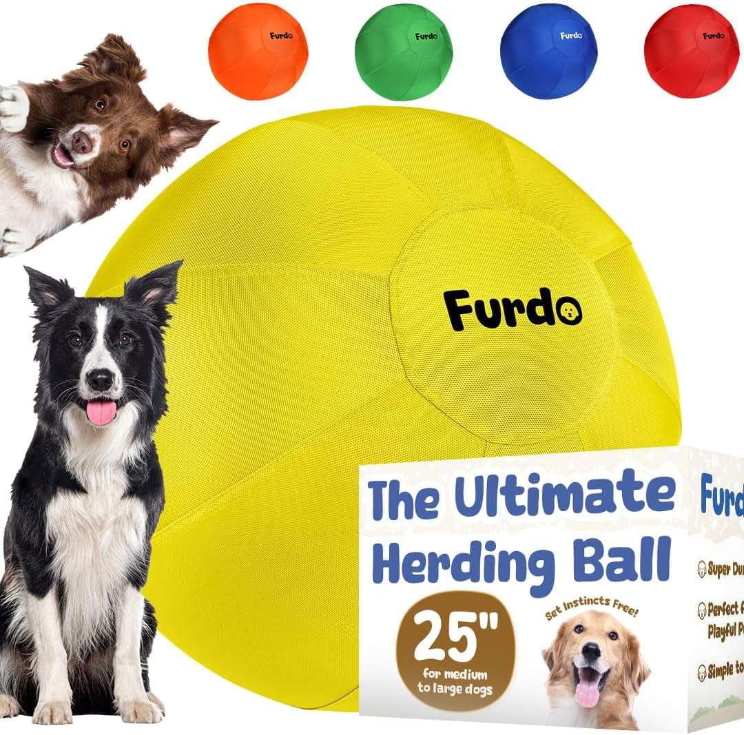 Herding Ball for Dogs, for Australian Shepherd, for Cattle, for Border ...