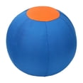 Herding Ball, Herding Ball for Dogs, Extra-Large Enrichment Ball — Tear ...