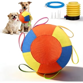 Giant Dog Ball