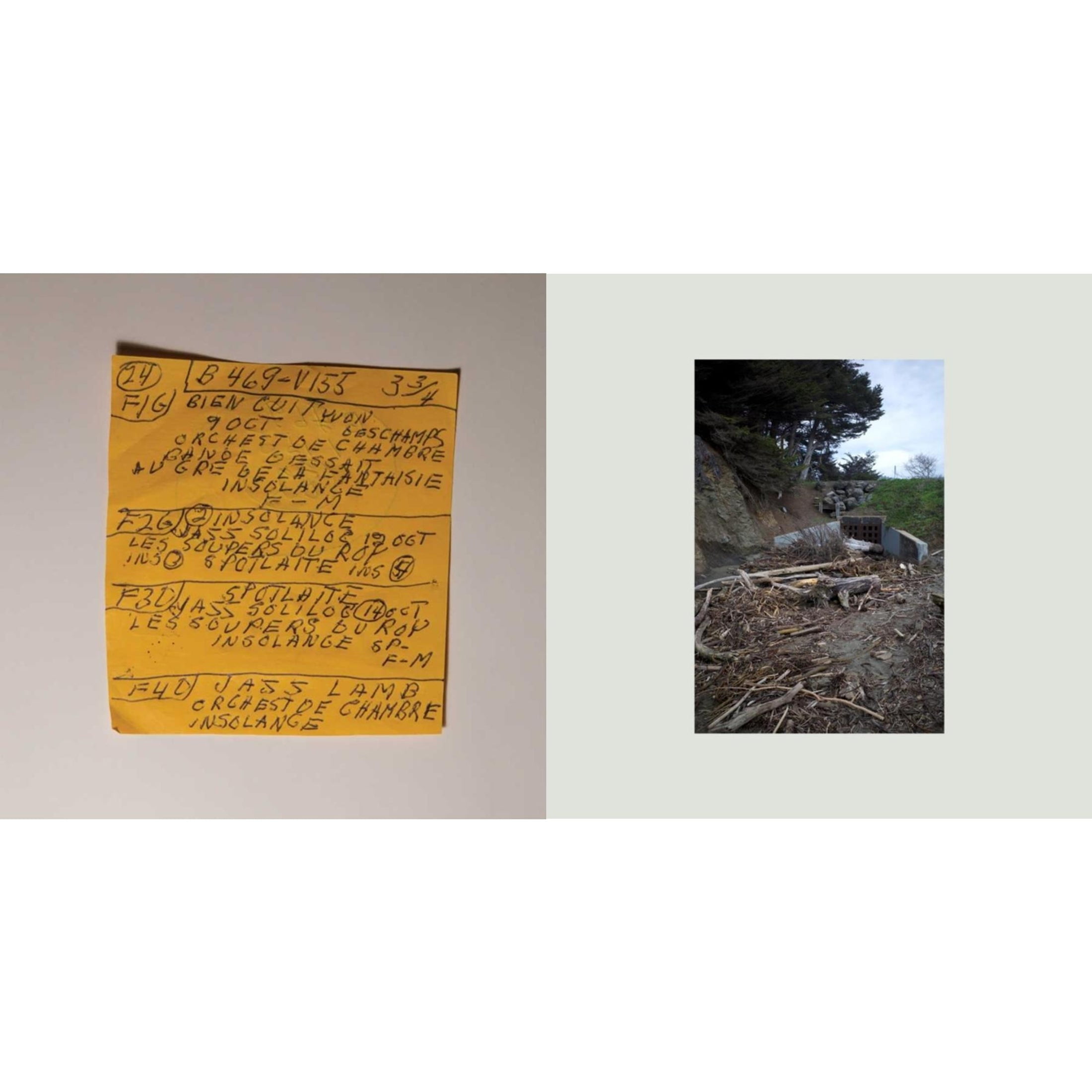 Here Comes The Cowboy Demos & Five Easy Hot Dogs [LP Vinyl Bundle] - Walmart.com