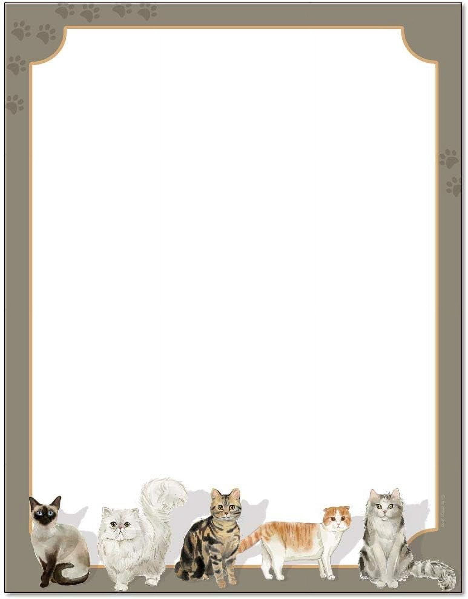 Here Letterhead Laser & Inkjet Printer Paper (100 Sheets) - Walmart.com