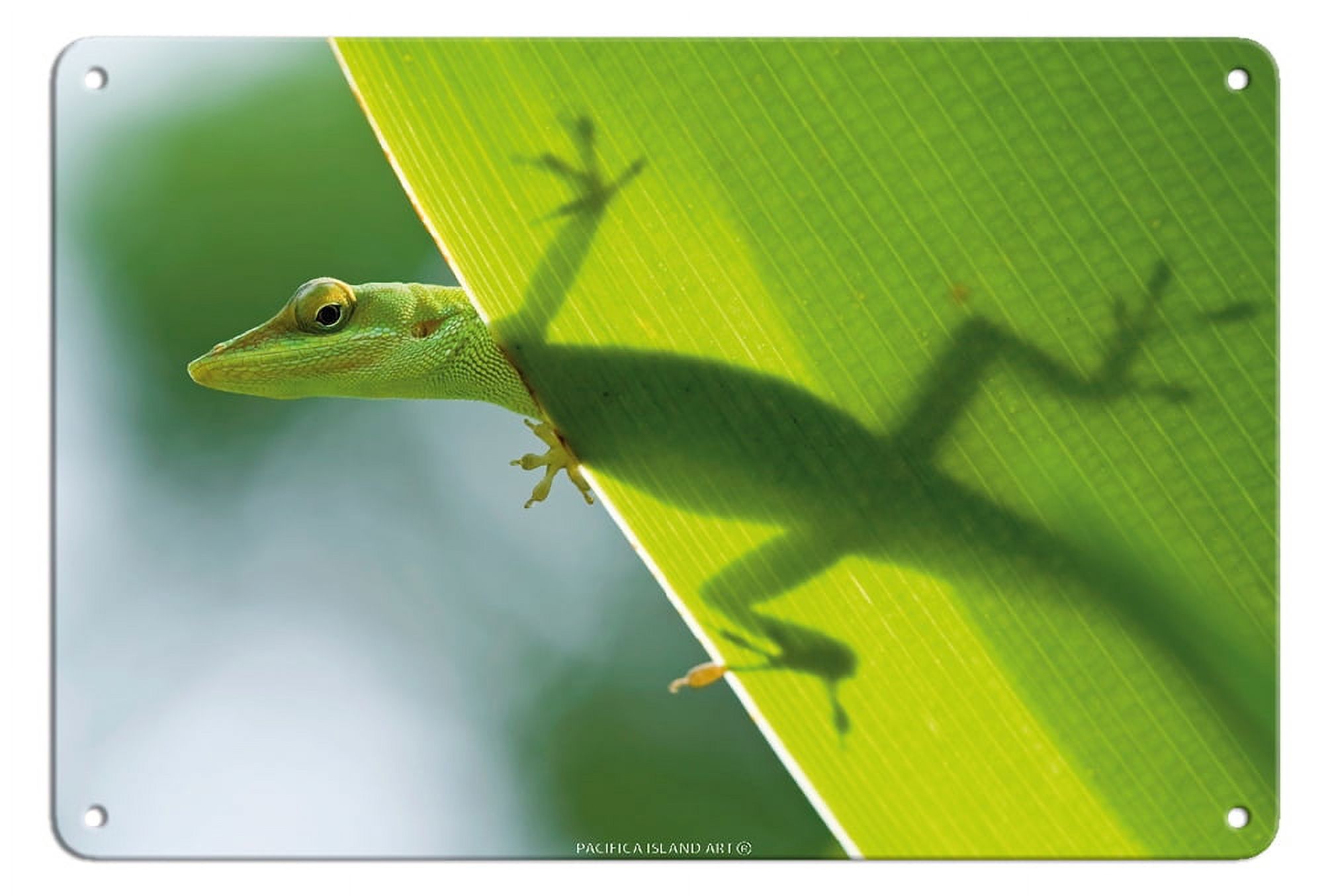 Here’s Looking at You Kid - Hawaiian Gecko - From an Original Color ...