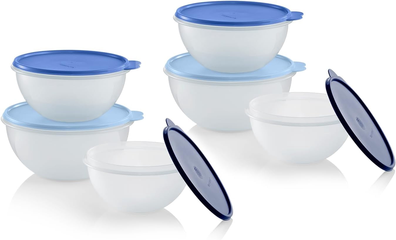 Heritage Wonderlier 12 Piece Food Storage Bowl Set in Clear/Blue ...