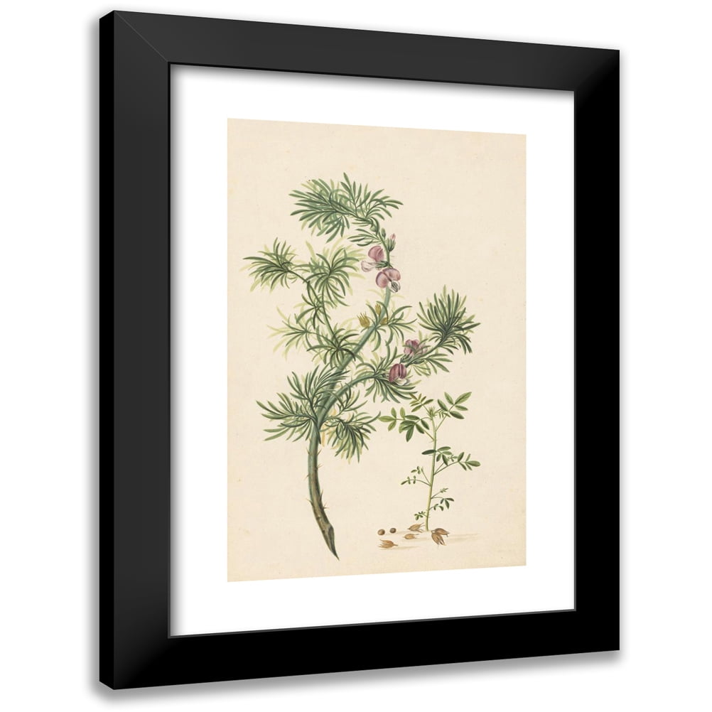 Herman Henstenburgh 13x18 Black Modern Framed Museum Art Print Titled ...