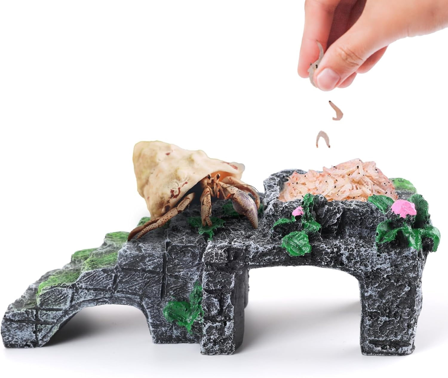 Hermit Crab Climbing Toys with Food Dish,Hermit Crab Water Bowl with ...