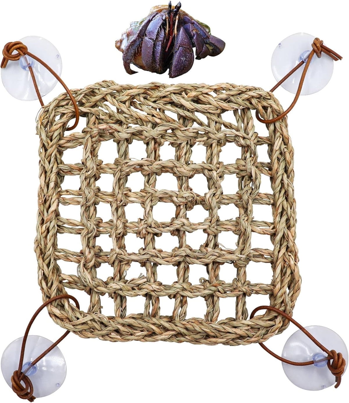 Hermit Crab Climbing Toys Seagrass Mat with Suction Cup, GIXUSIL ...