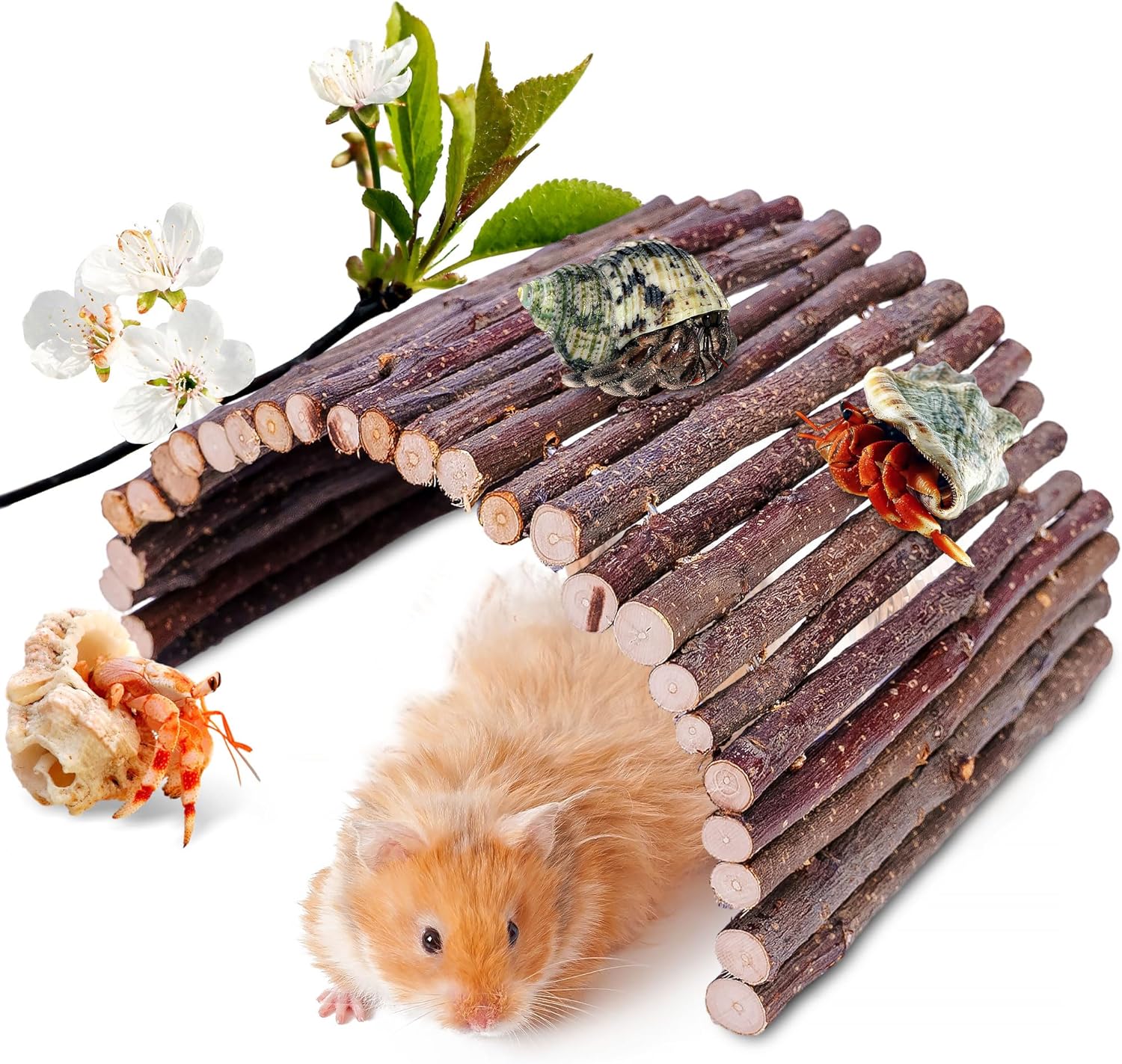 Hermit Crab Hideout & Climbing Toys - Large Size Reptile Climbing Decor ...