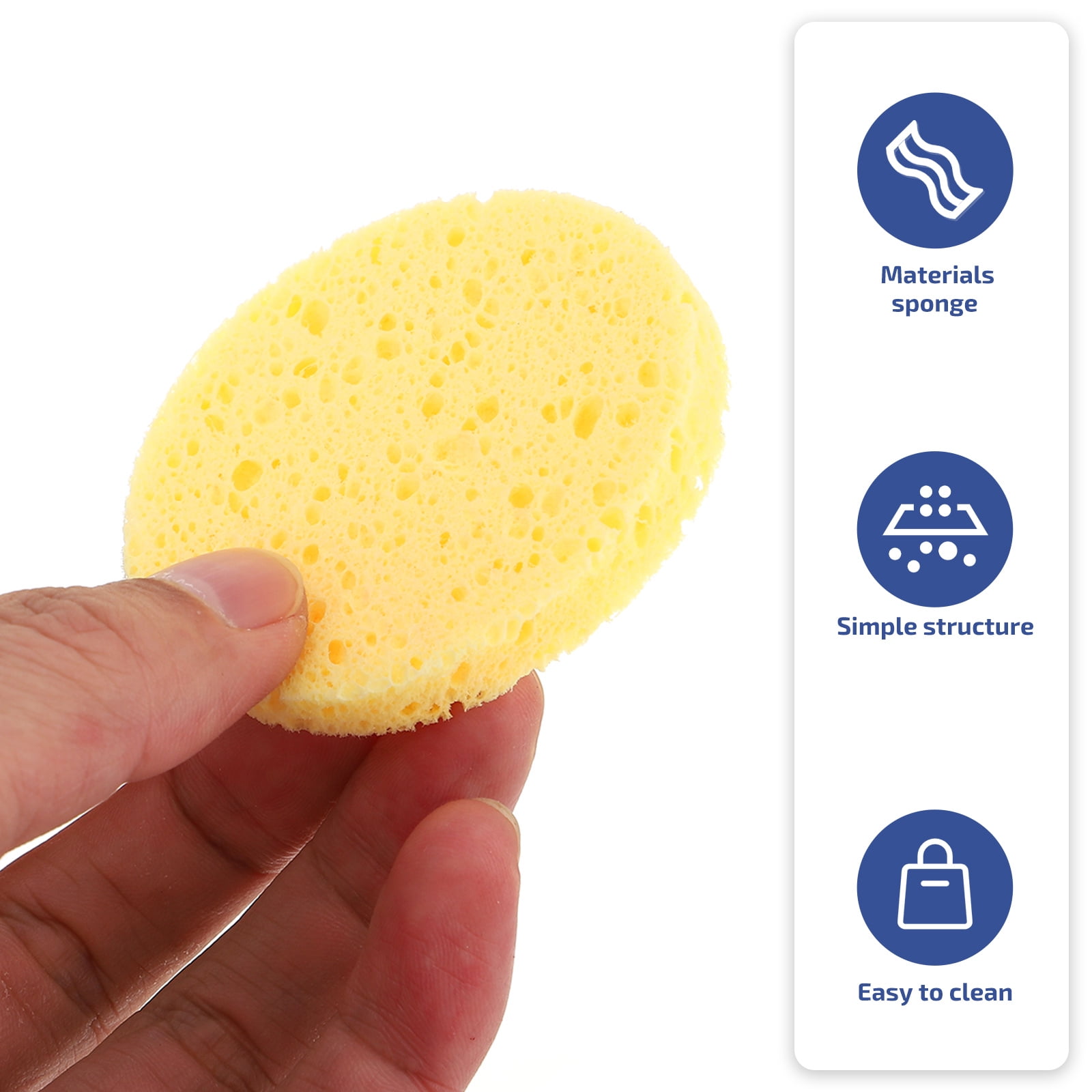 Hermit Crab Sponges 25 Hermit Real Sponges Pets Nutrients Tank Humidity ...