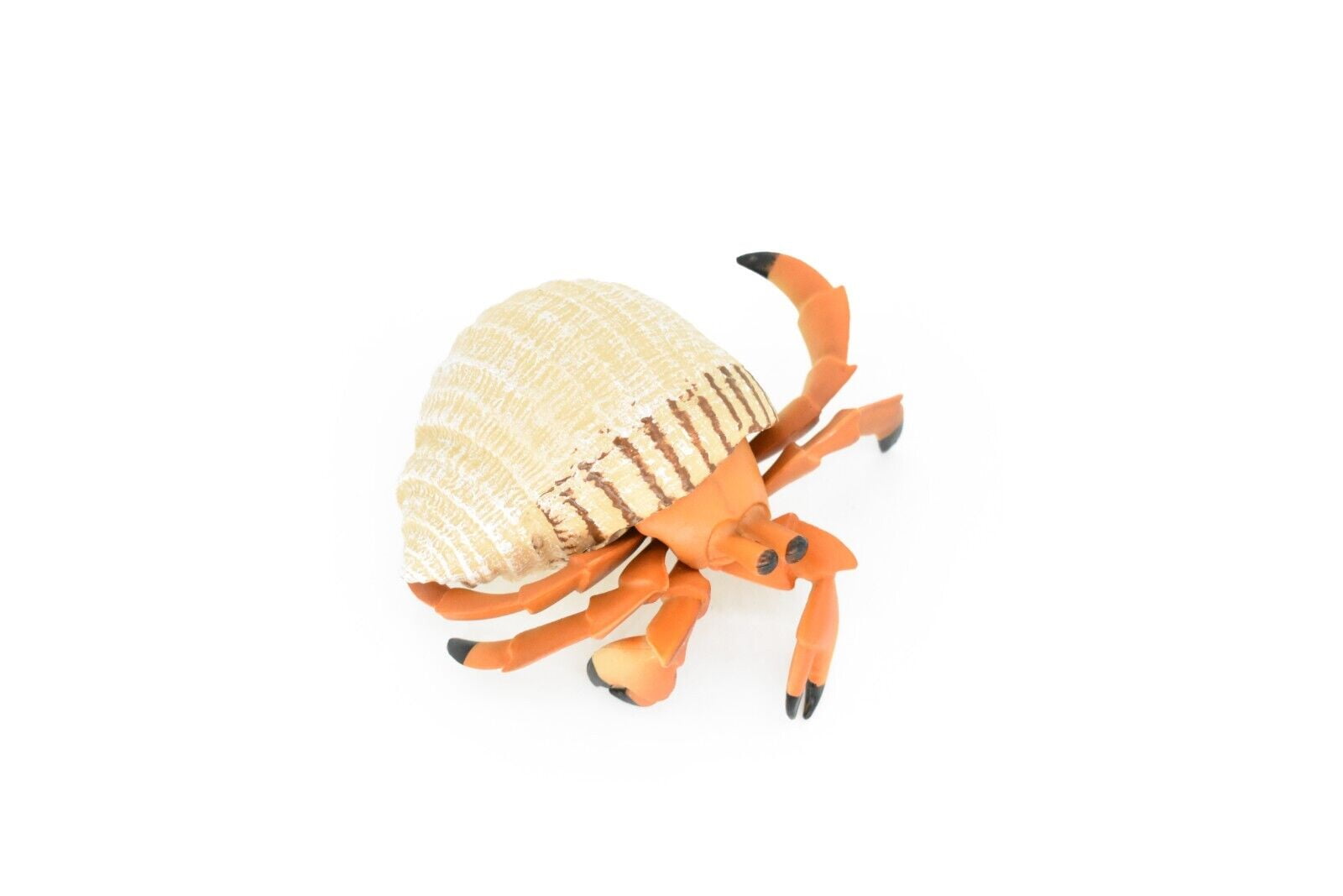 Hermit Crab Toy. Crustaceans, Museum Quality Rubber Figure, Model ...