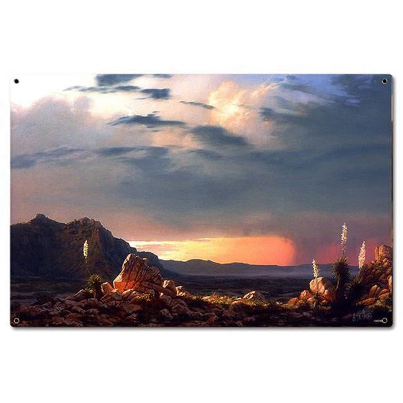 Hermon Adams Arizona Rain Satin Metal Sign - 24 x 16 in. - Walmart.com