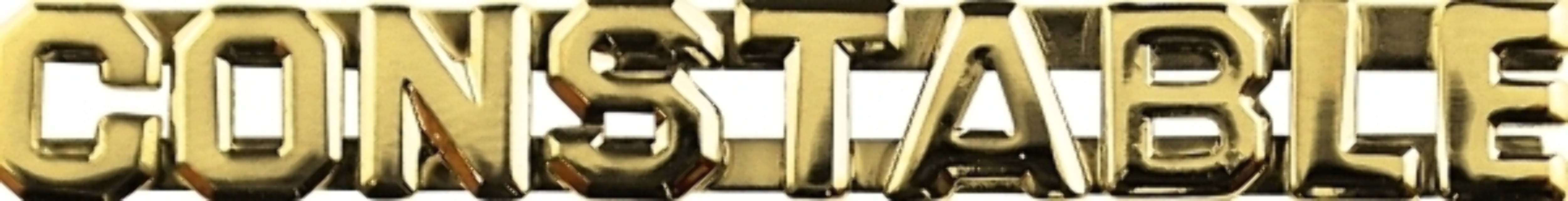 Hero’s Pride CONSTABLE Metal Insignia Pins – Gold – 1/4" High – Pair ...