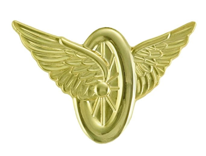 Hero’s Pride Wheel & Wings Lapel Pin, Gold Finish – 1-5/16" x 1", Pair ...