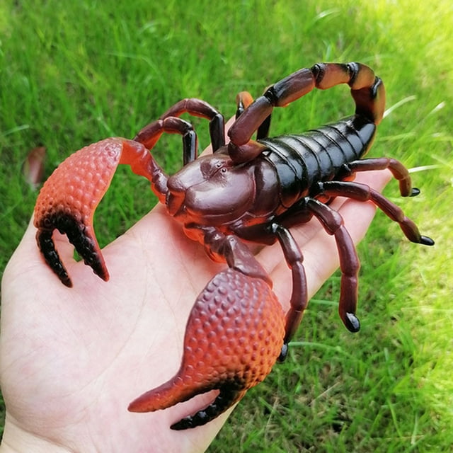 HeroNeo Insect Simulation Model Toys Simulation Wildlife Model ...