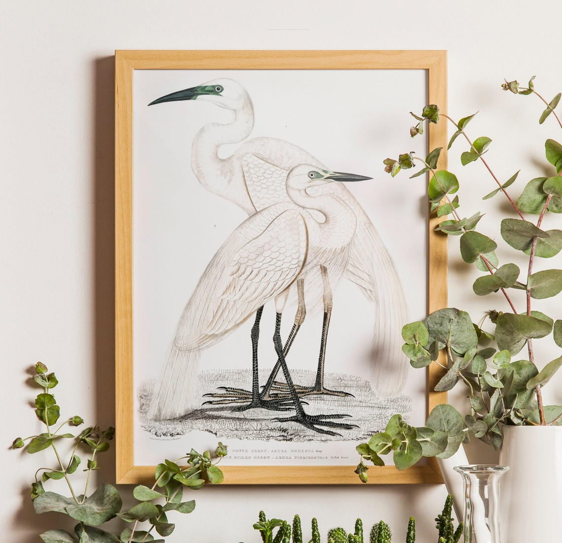 Heron Bird Art Poster, Vintage Coastal Wading Birds Poster, Unframed ...