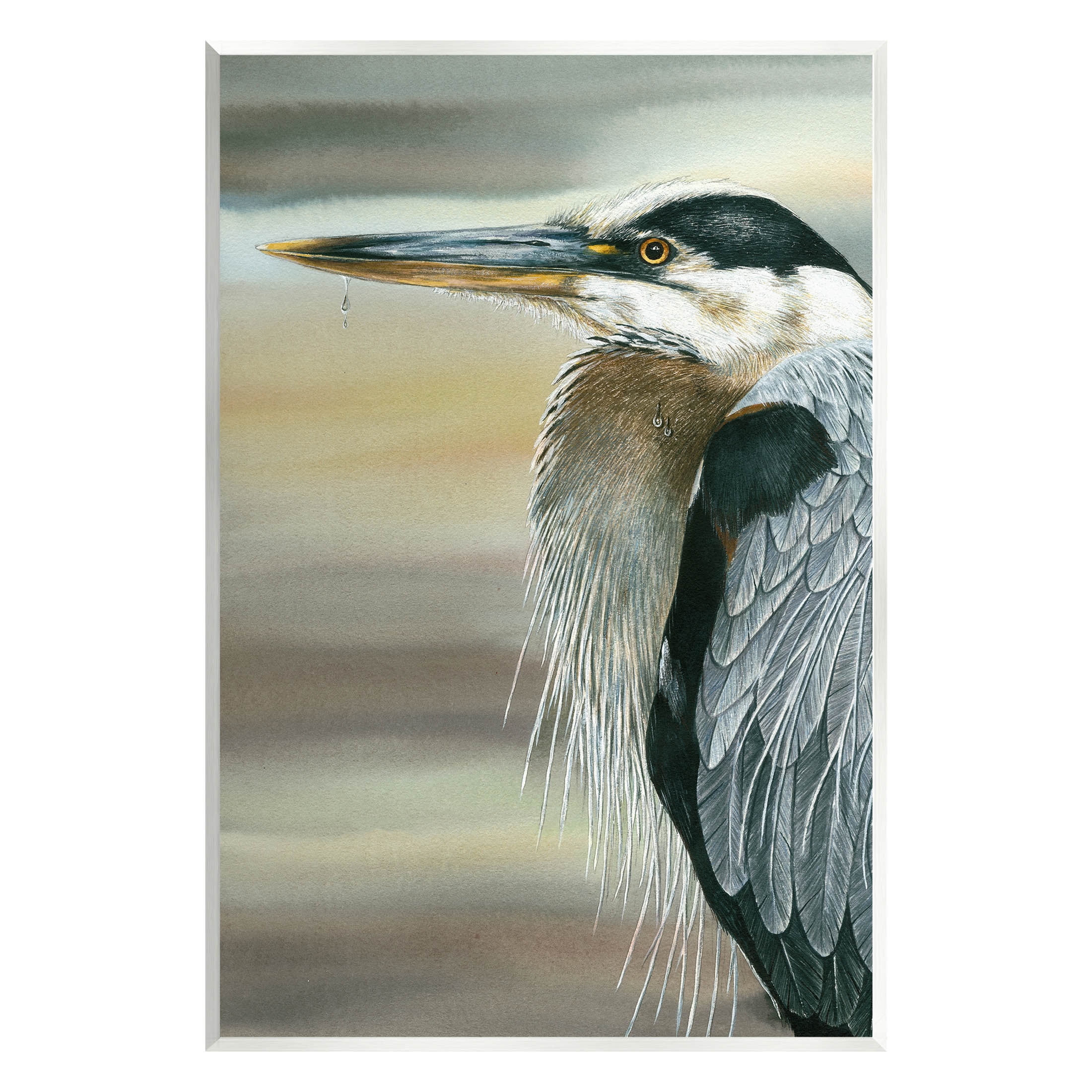 Heron Bird Feather Wall Plaque - 10 x 15 Inches - Wildlife Art Print ...