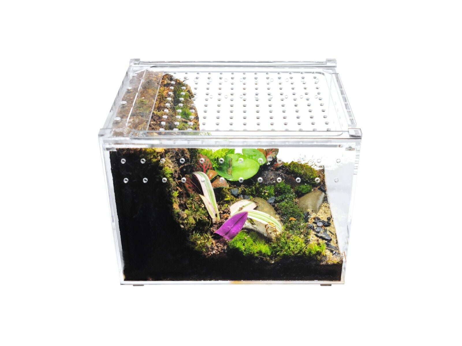 Herpcult Acrylic Reptile Terrarium Gecko Snake Spider Vivarium Cage ...