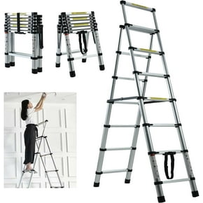 6ft Ladder
