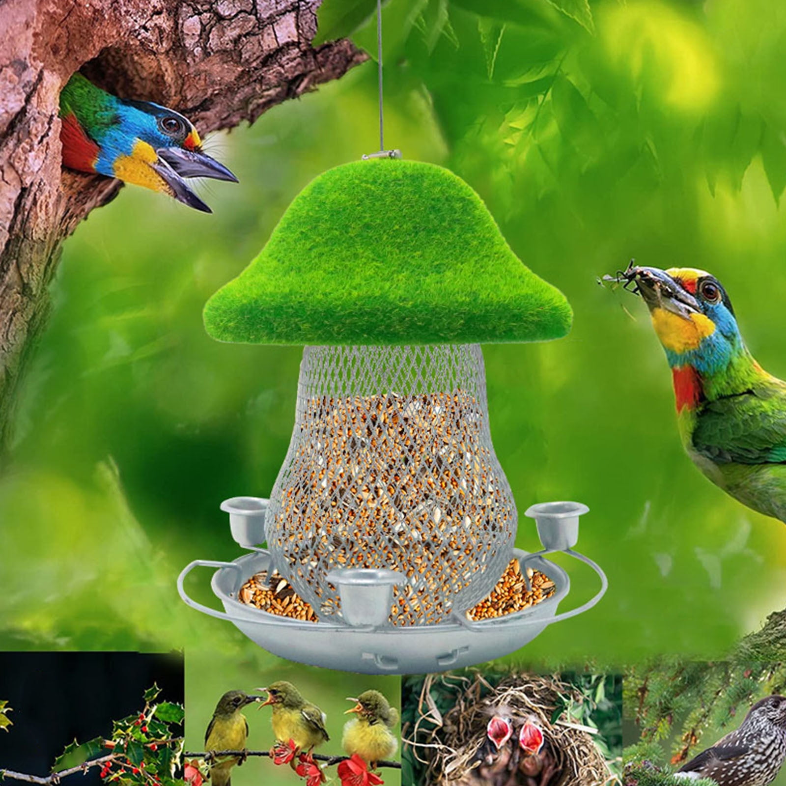 Herrklp Hummingbird Feeder, Bird Feeder Hummingbird Feeder Dropper ...