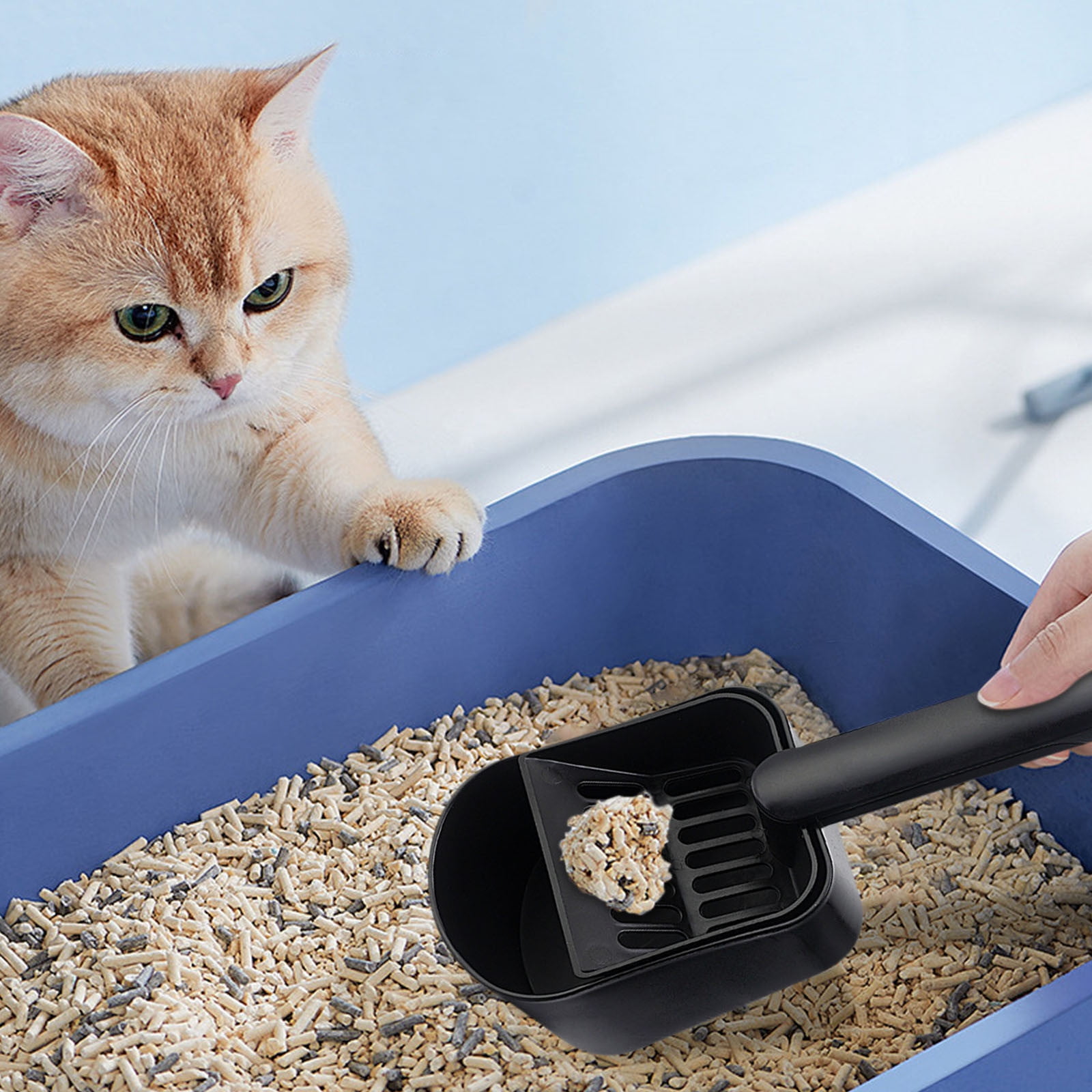 Herrnalise 2 in 1 Cat Litter Scoop, Non-Stick Kitty Litter Scooper, Cat ...