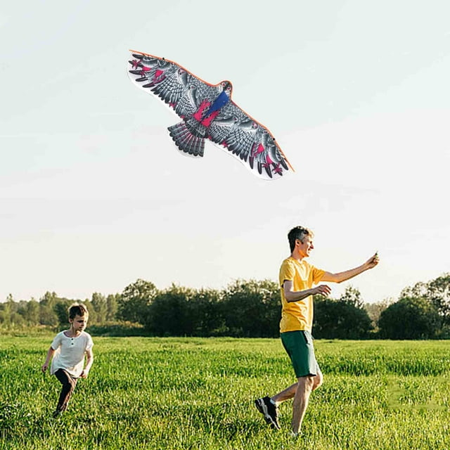 Herrnalise Eagle Kite With 30 Meter Kite Line, Kites for Kids&Adults ...