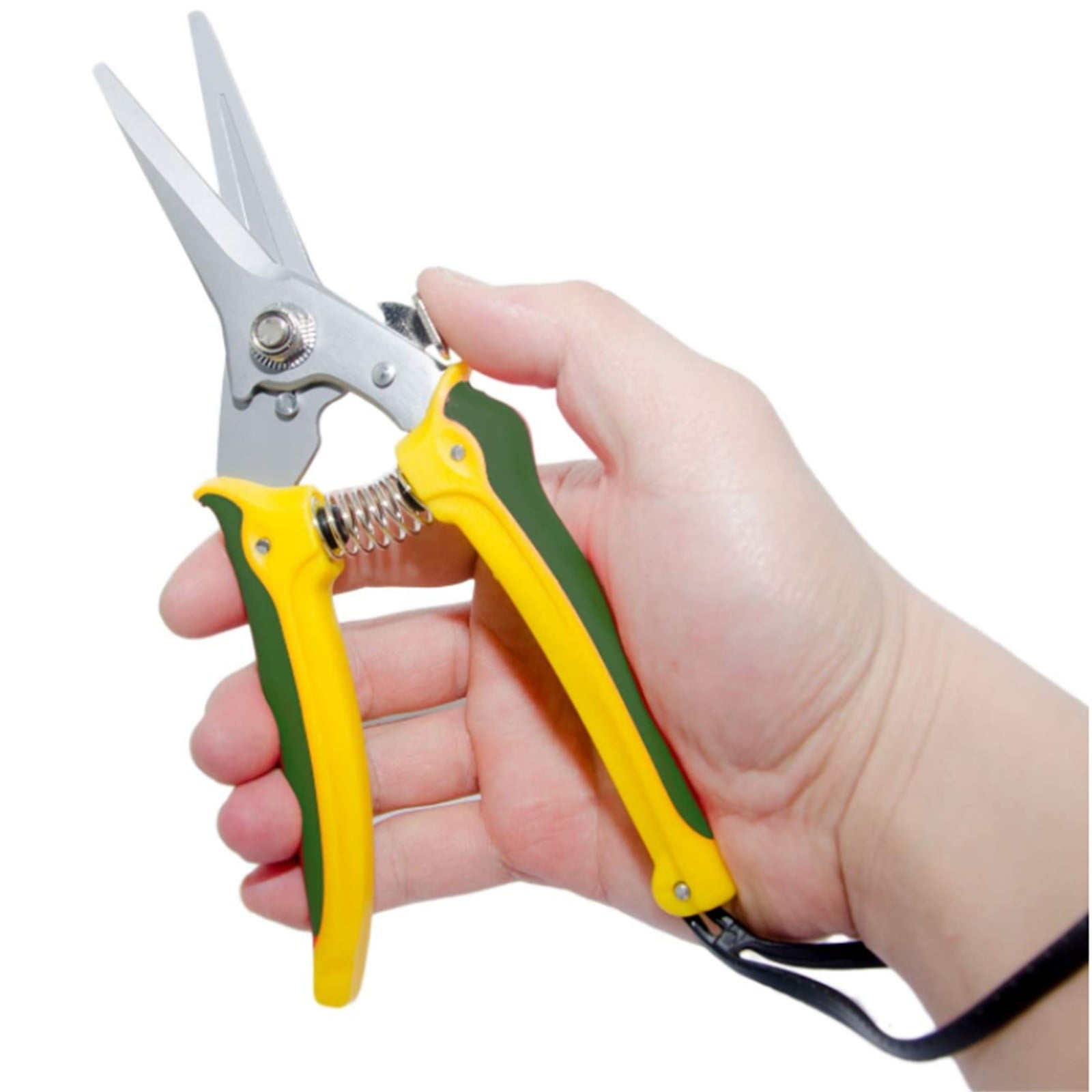 Herrnalise Goat Hoof Trimmers Hoof Shears Nail Clippers for Sheep ...