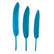 Uxcell 3-6 Inch Saddle Hackle Rooster Feather Bulk Natural Feathers ...