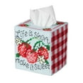 Herrschners® Life is Sweet Tissue Box Plastic Canvas Kit - Walmart.com