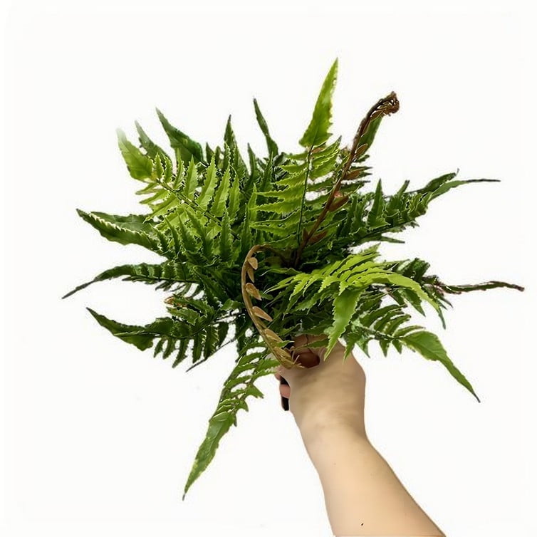 Hesai Lifelike Fake Fern Plants UV Resistant Artificial Boston Ferns ...