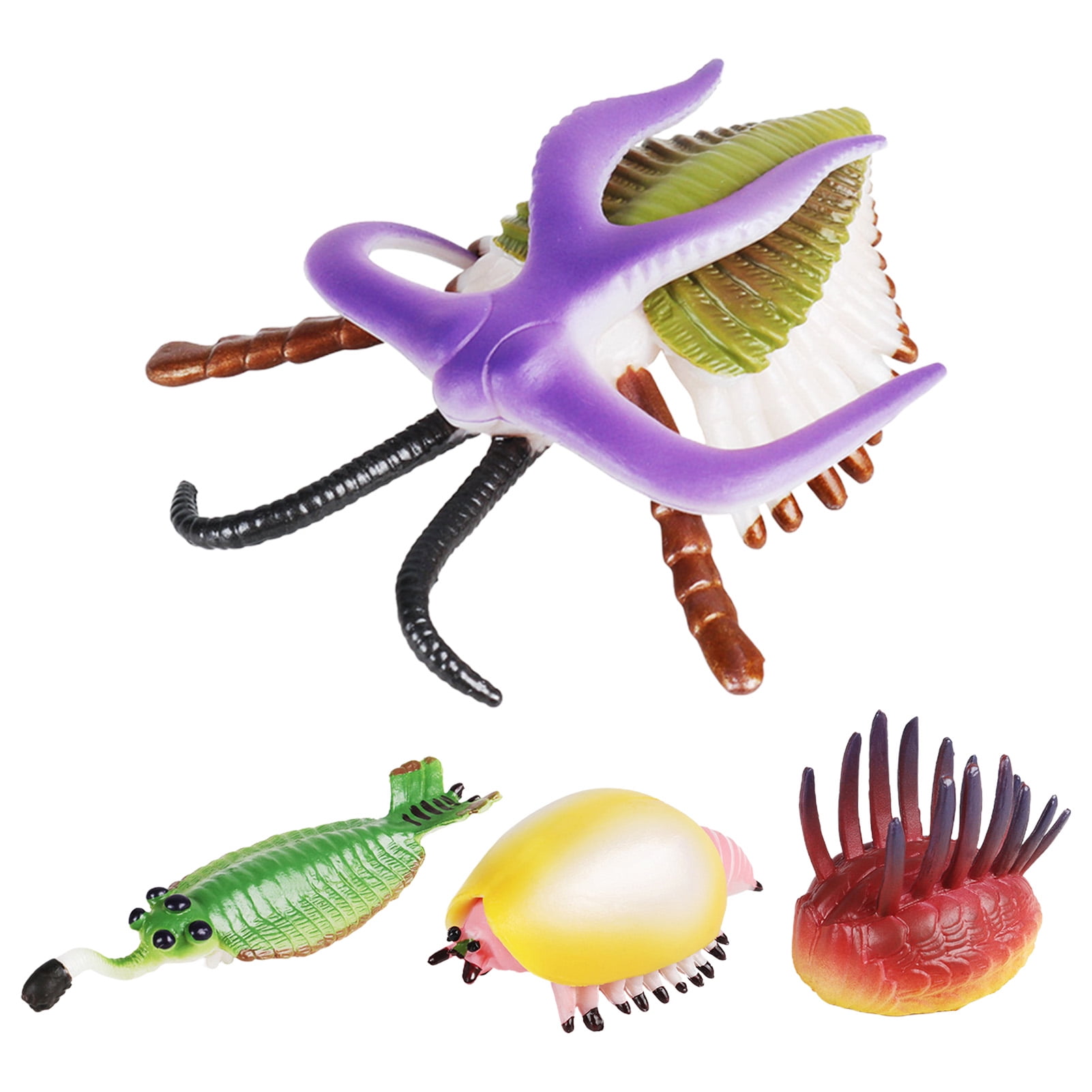 Hesroicy Trilobite Figurine Cambrian Period Ocean Animals Clear Texture ...