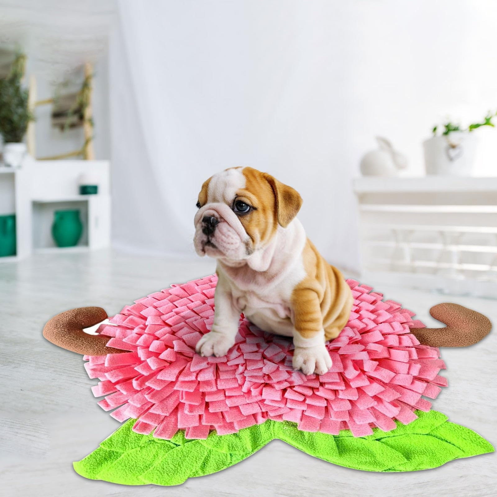 Hewann Slow Feeder For Dogs Snuffle Mat for Dogs - Enrichment Sniffing ...