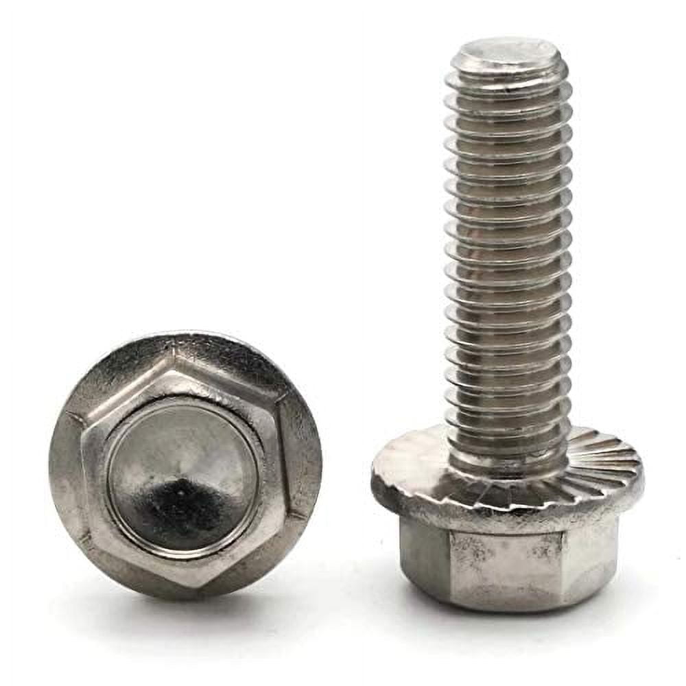 Hex Flange Serrated Cap Bolt Screws 18-8 Stainless Steel - 1/4-20 x 3/4 ...