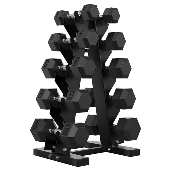 Hex Weights Dumbbells Set with Rack, 100- lb Rubber Coated Dumbbell ...