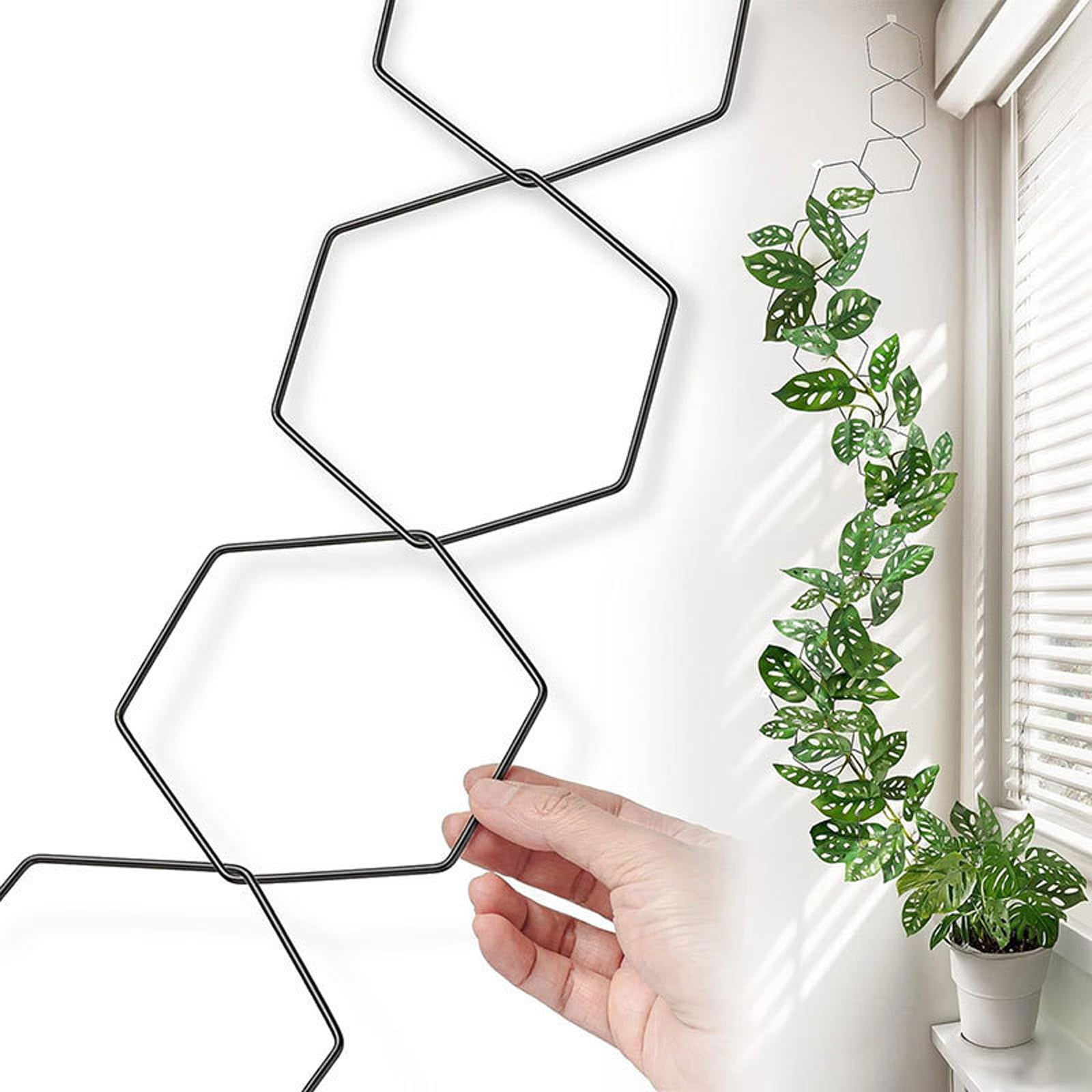 Hexagonal Plant Climbing Frame, Iron Vine Support for Pothos and Ivy ...