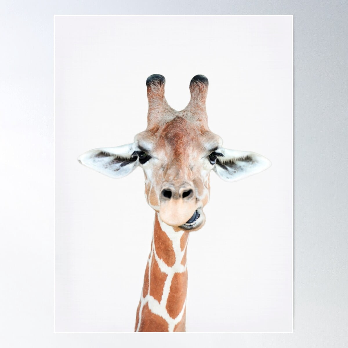 Hey Giraffe! Poster Wall Art, Modern Wall Decor For Living Room Bedroom ...