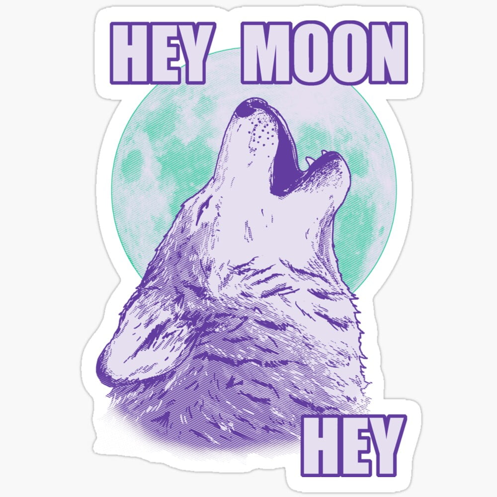 Hey Moon Hey Sticker Phone Decal Water Bottle Stickers Car Decals ...