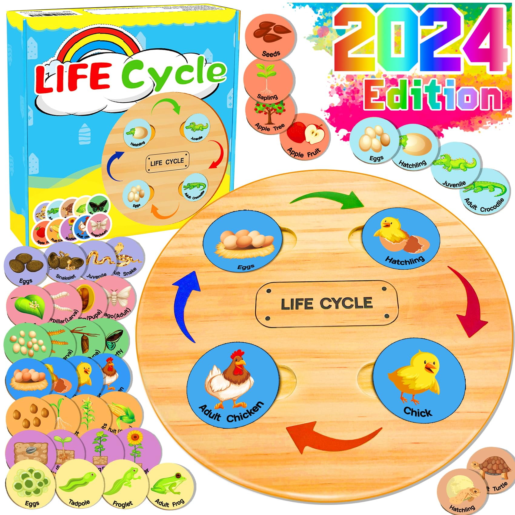HeyKiddo Life Cycle Toys STF9 for Kids, Learning & Educational Toys ...