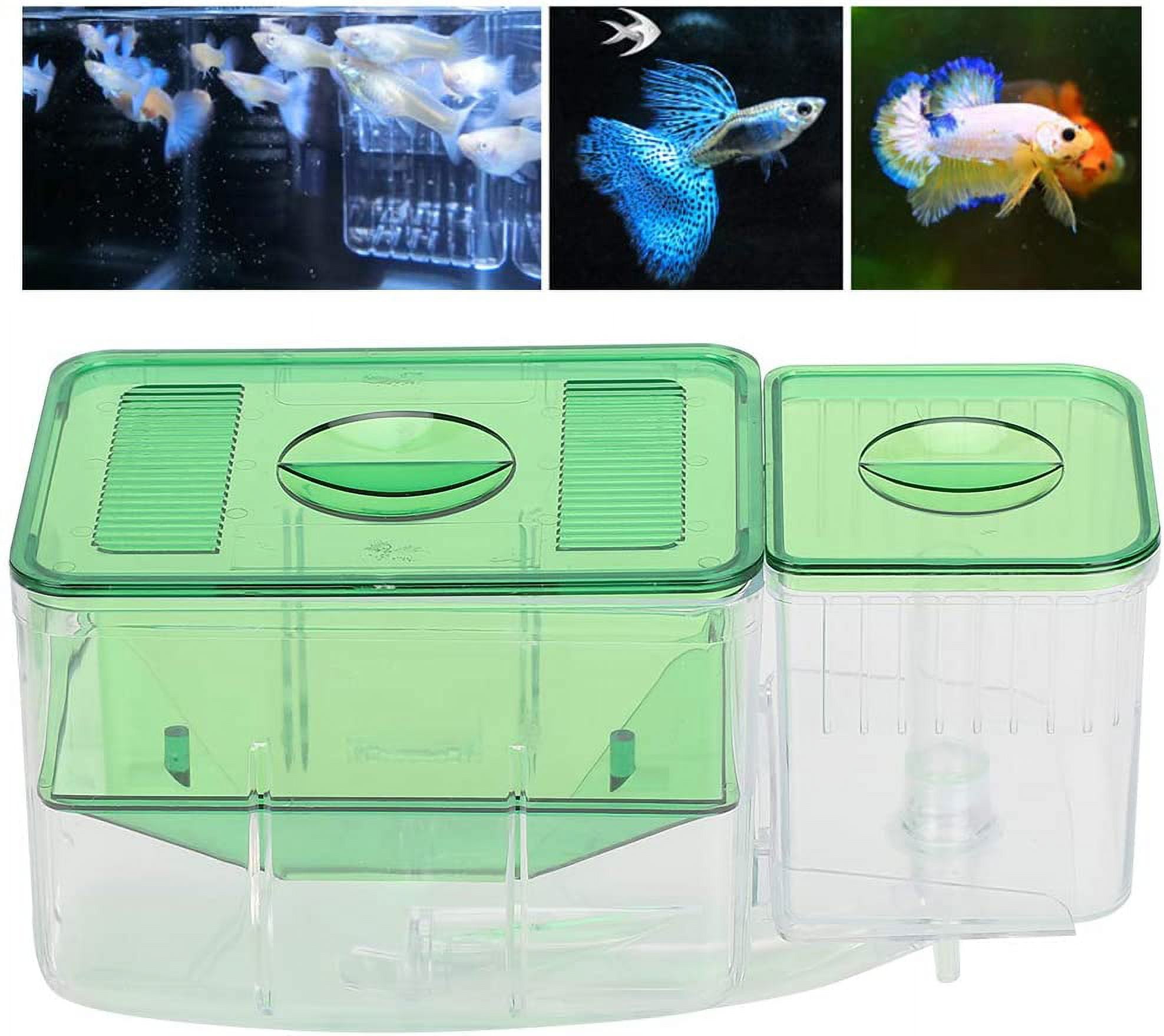 Heydday Transparent Acrylic Fish Breeding Box – Double-Layer Isolation ...