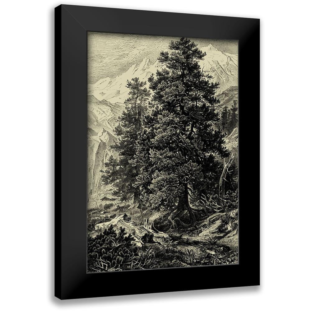 Heyn, Ernst 11x14 Black Modern Framed Museum Art Print Titled - Arolla ...