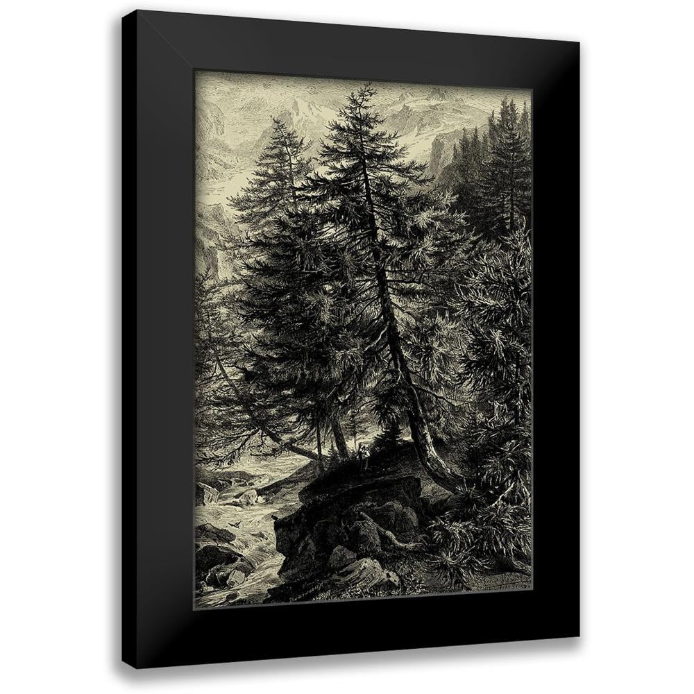 Heyn, Ernst 11x14 Black Modern Framed Museum Art Print Titled - Larch ...