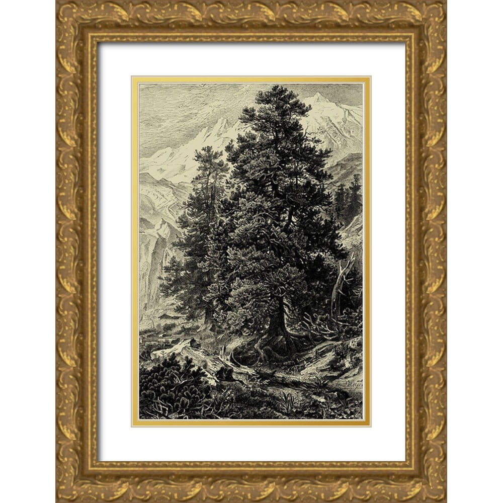 Heyn, Ernst 17x24 Gold Ornate Wood Framed with Double Matting Museum ...