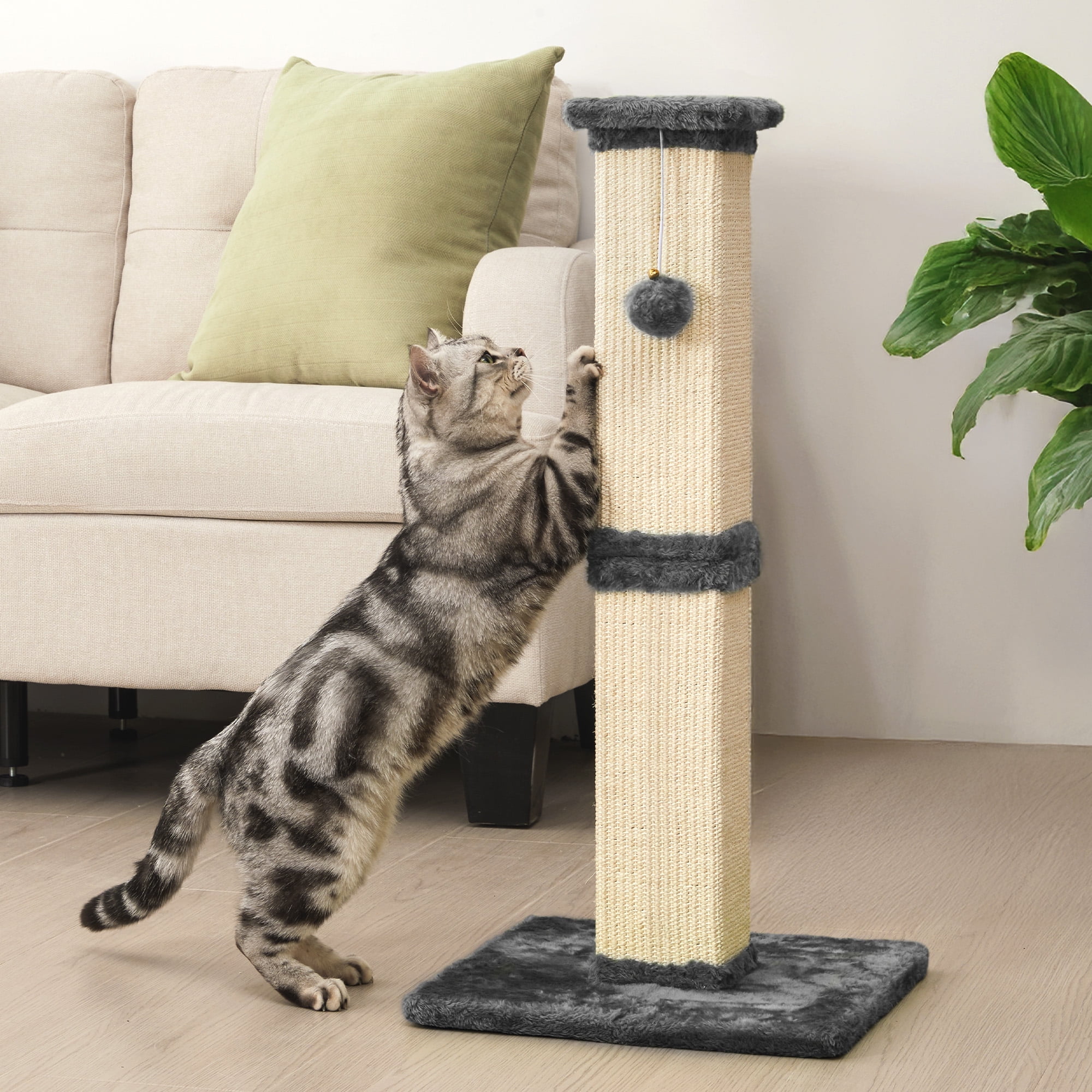 Heynemo 32-Inch Cat Scratching Post with Hanging Ball Toy, Tall Sisal ...