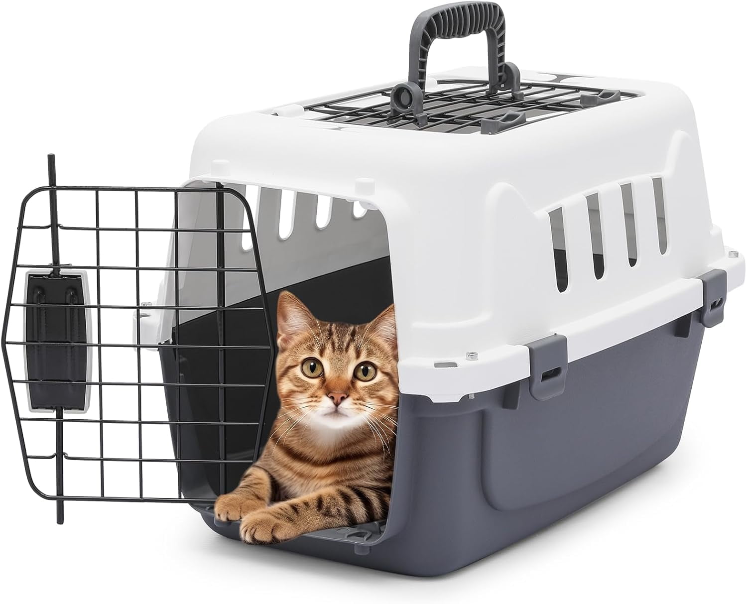 Heywoo 18" Hard-Sided Travel Pet Carrier for Small Dogs and Cats ...