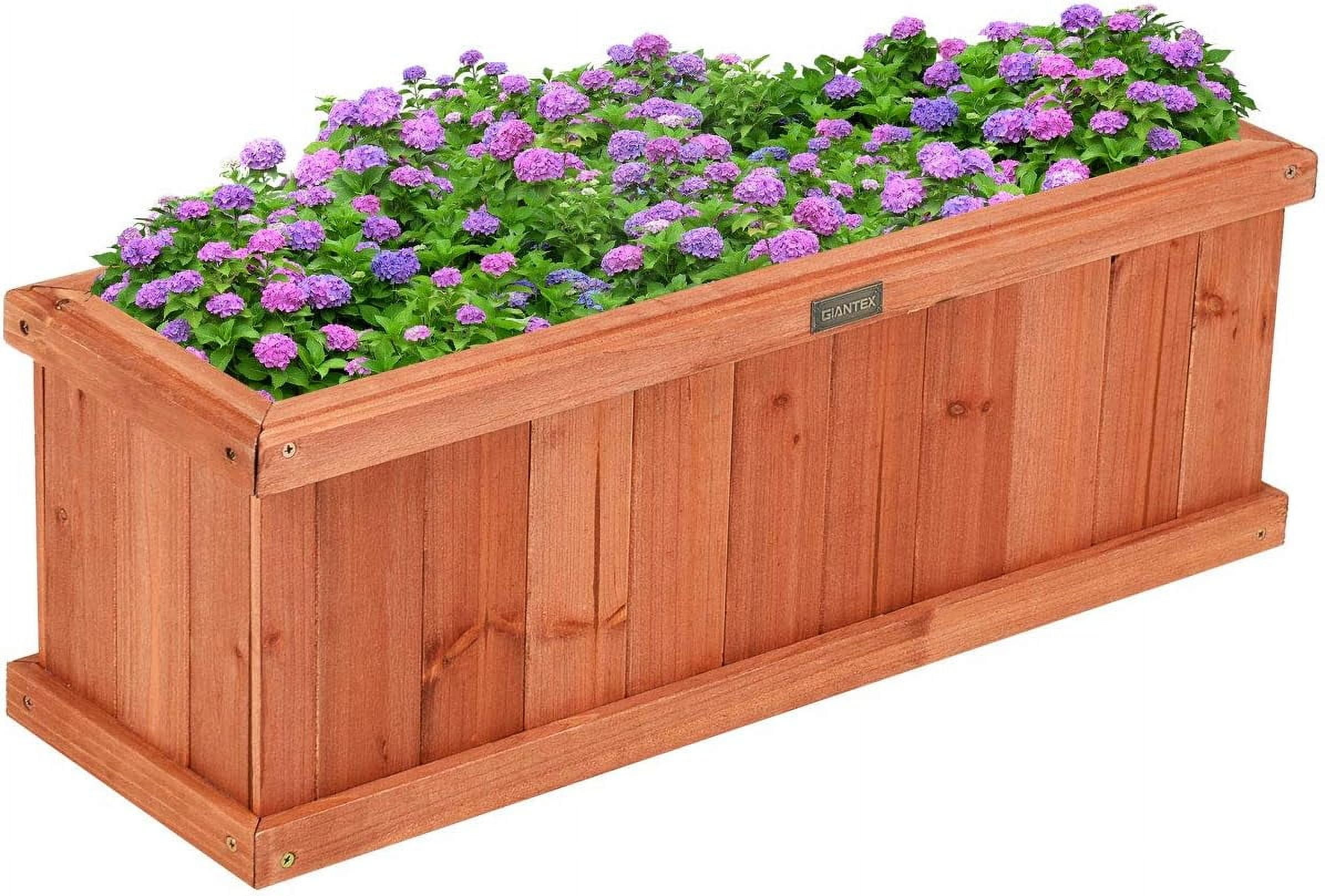 Heywoo Raised Garden Bed Flower or Vegetable Planter Window Mounted ...